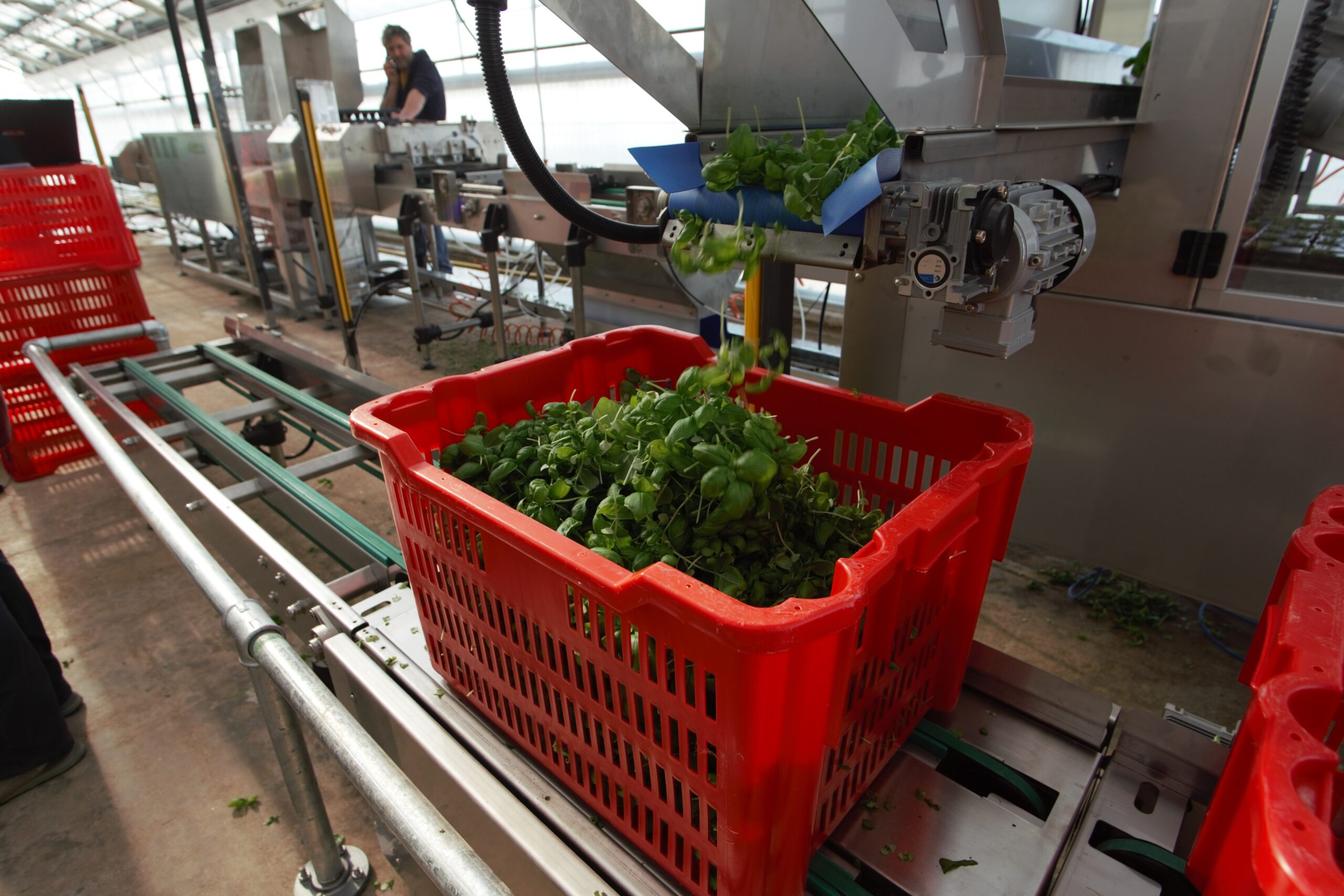 Spirit Control! From Manual to Magical